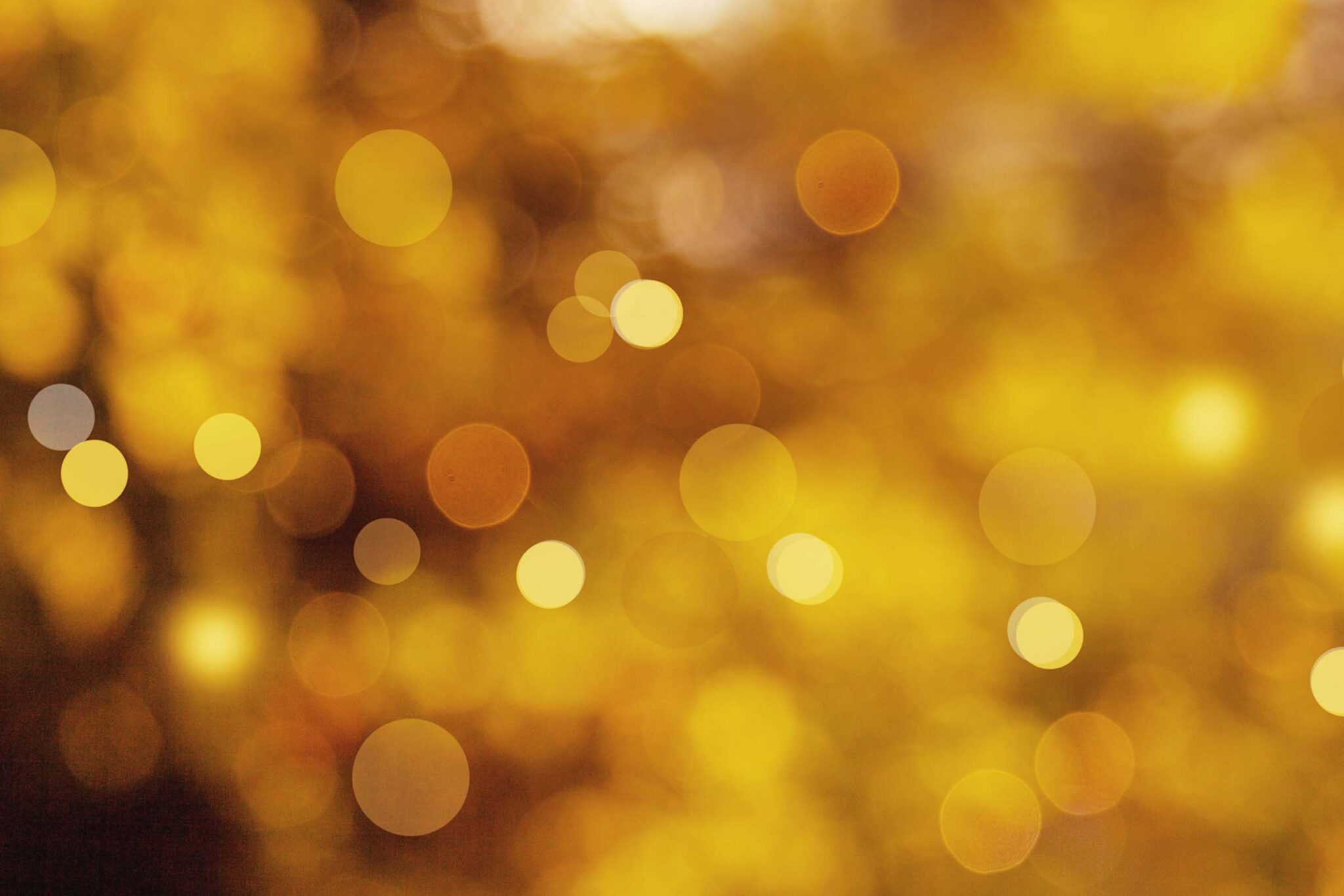 Menu - Sebago Brewing Company